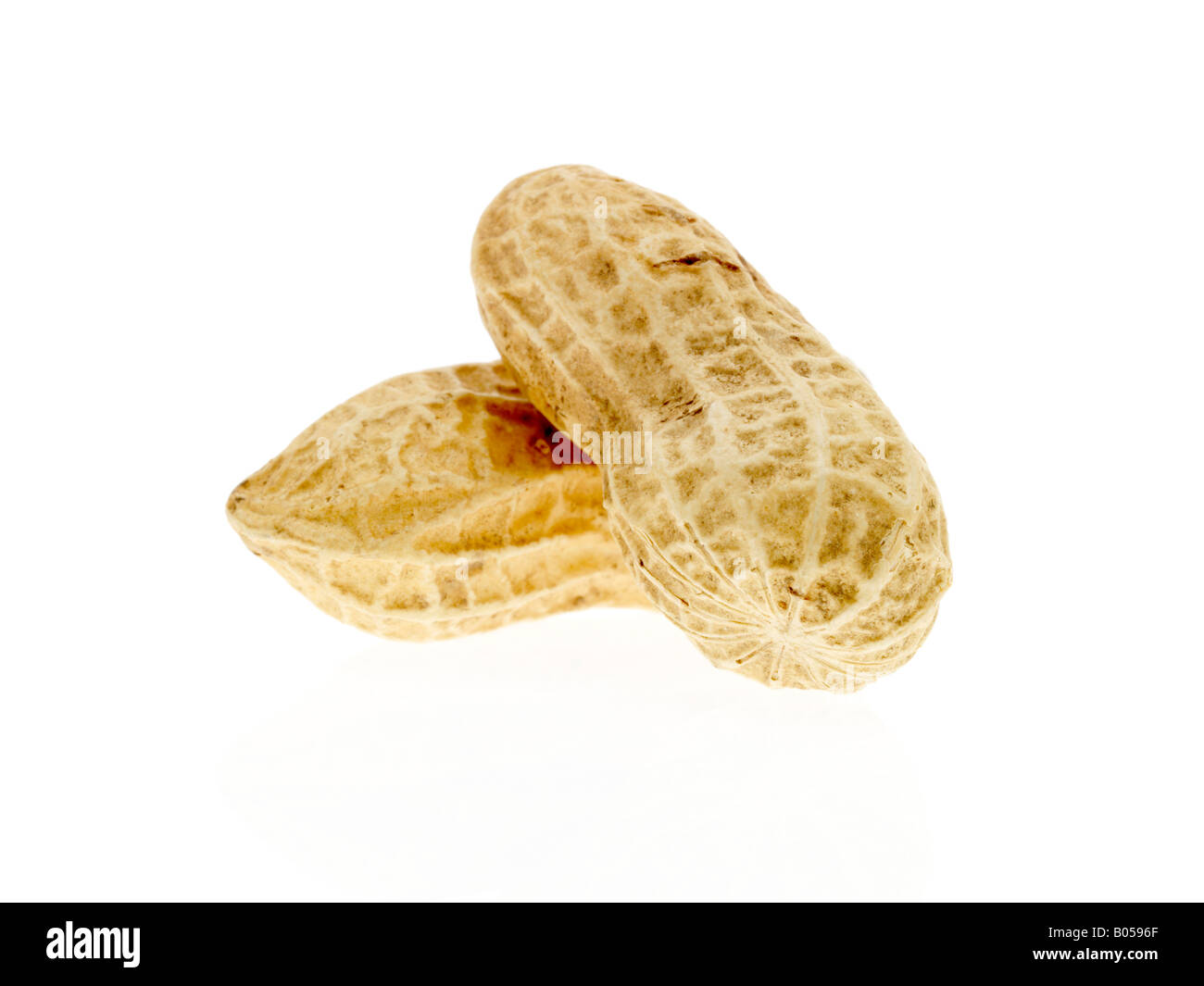 Roasted Monkey Nuts Stock Photo - Alamy