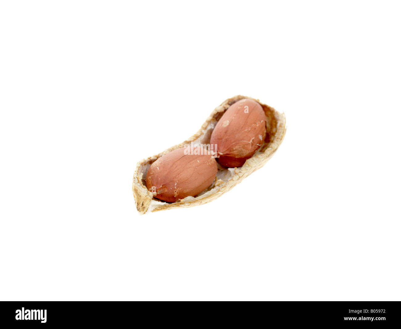 Roasted Monkey Nuts Stock Photo - Alamy
