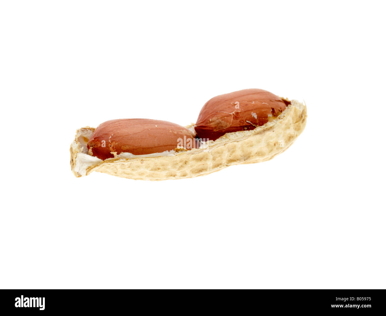 Roasted Monkey Nuts Stock Photo - Alamy