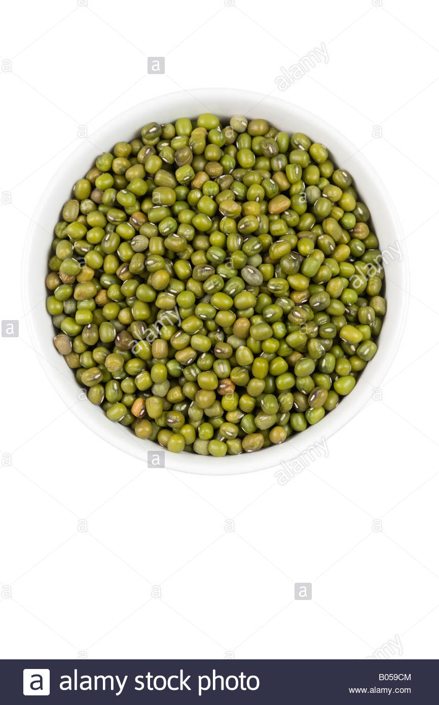 Vigna Aureus High Resolution Stock Photography and Images - Alamy