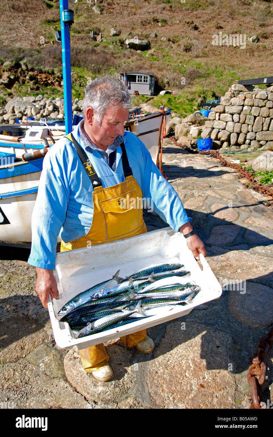 Cornwall mackerel fishing work hi-res stock photography and images - Alamy