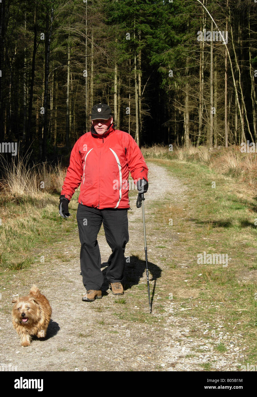 Puddletown hi-res stock photography and images - Alamy