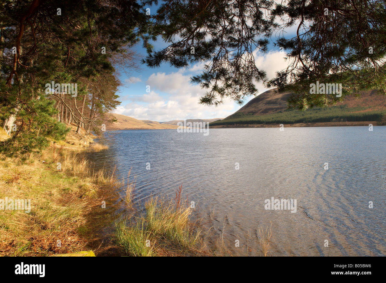 St Mary's Loch, Scottish Borders Stock Photo - Alamy
