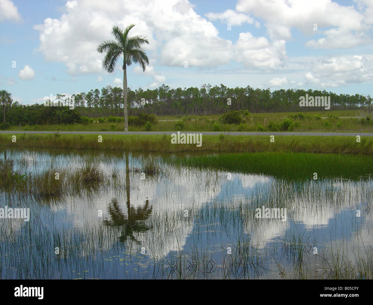 Everglades state national park hi-res stock photography and images - Alamy