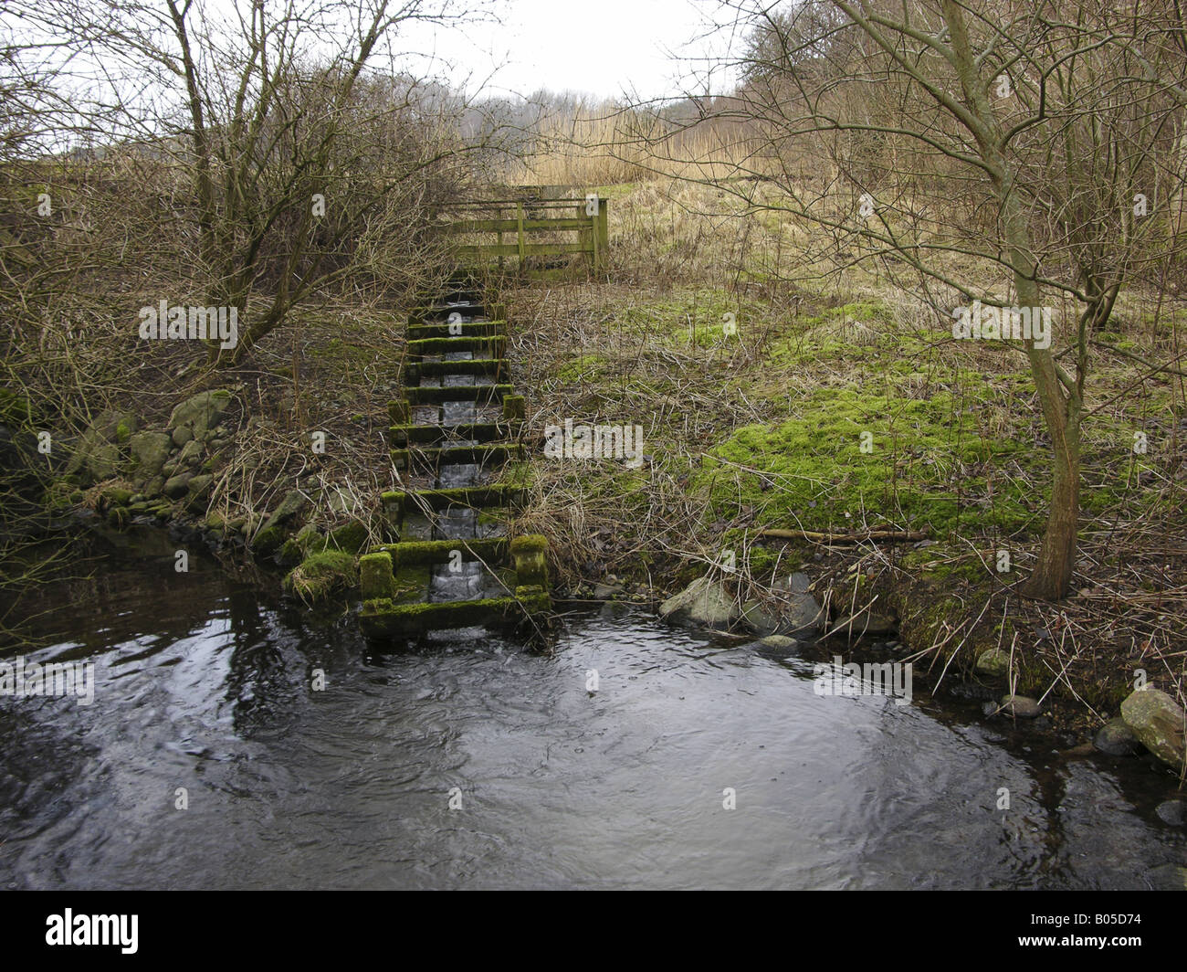 fish pass, Denmark Stock Photo - Alamy