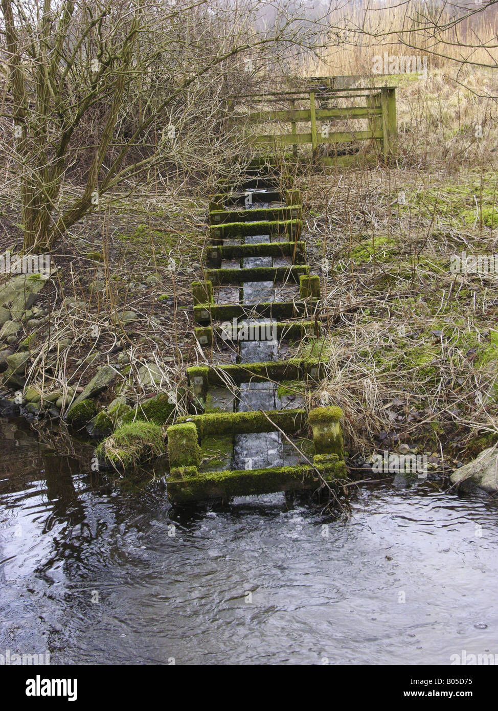 fish pass, Denmark Stock Photo - Alamy