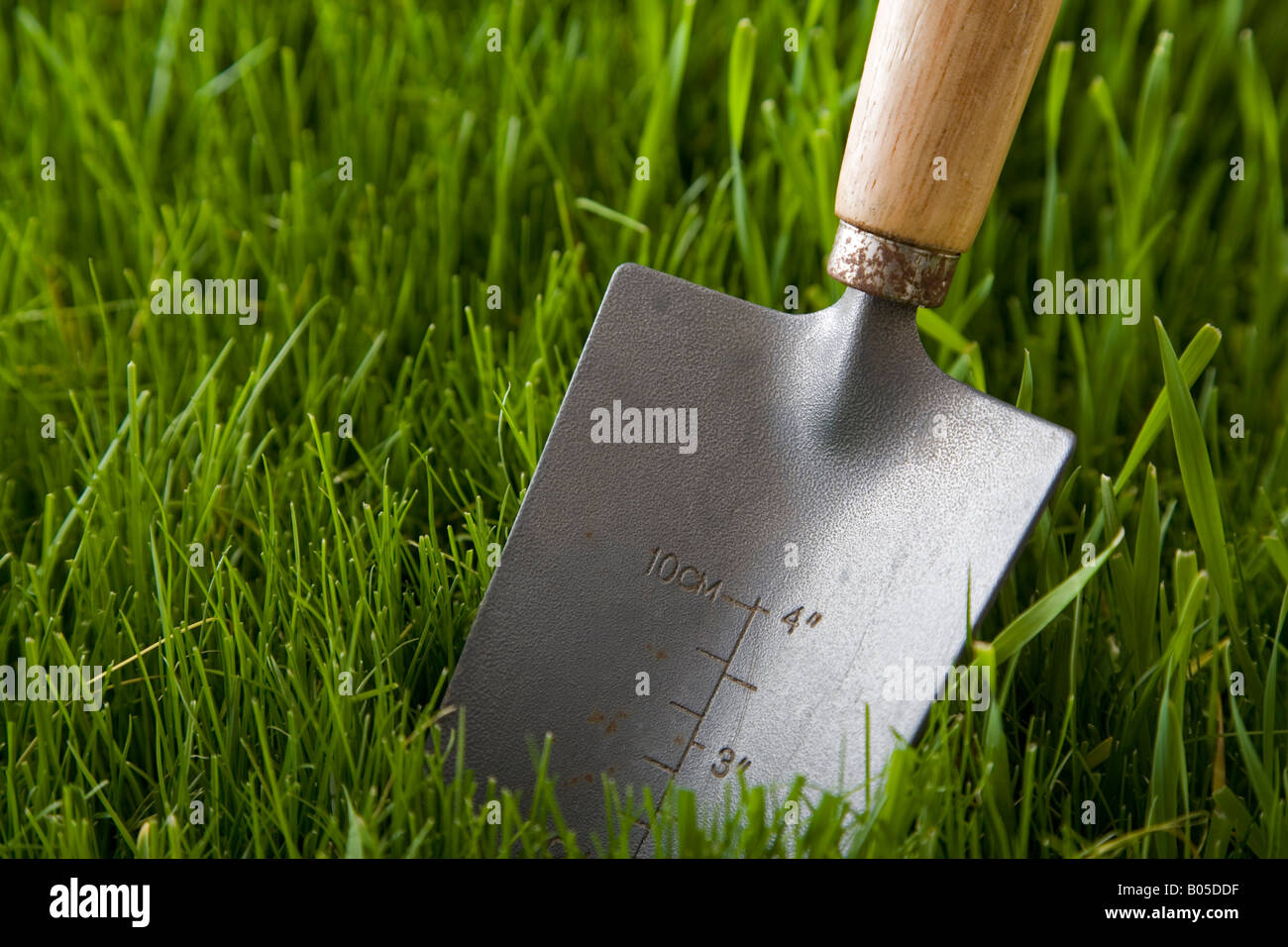 A garden trowel in the grass Stock Photo - Alamy