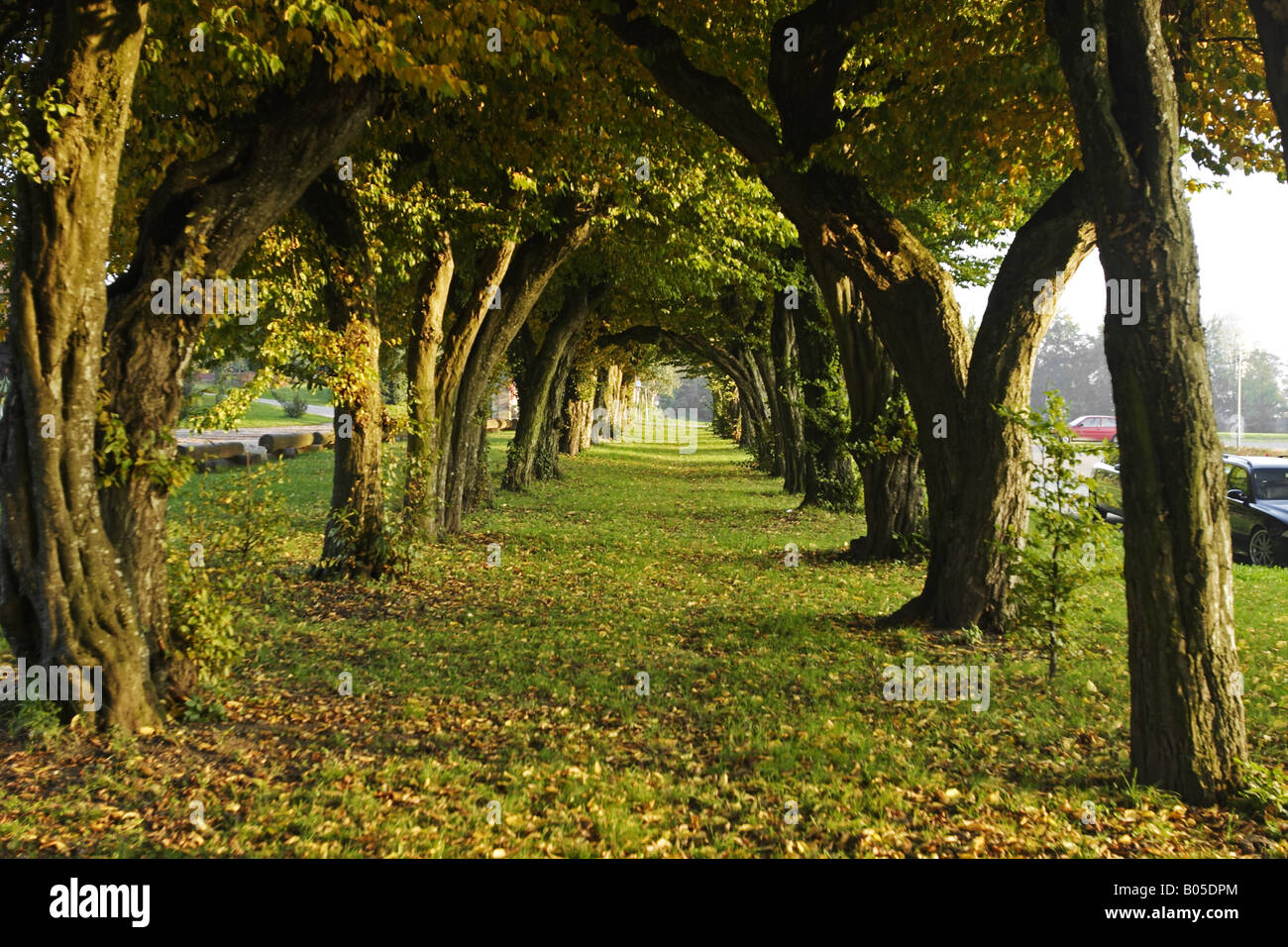 Laupheim west hi-res stock photography and images - Alamy