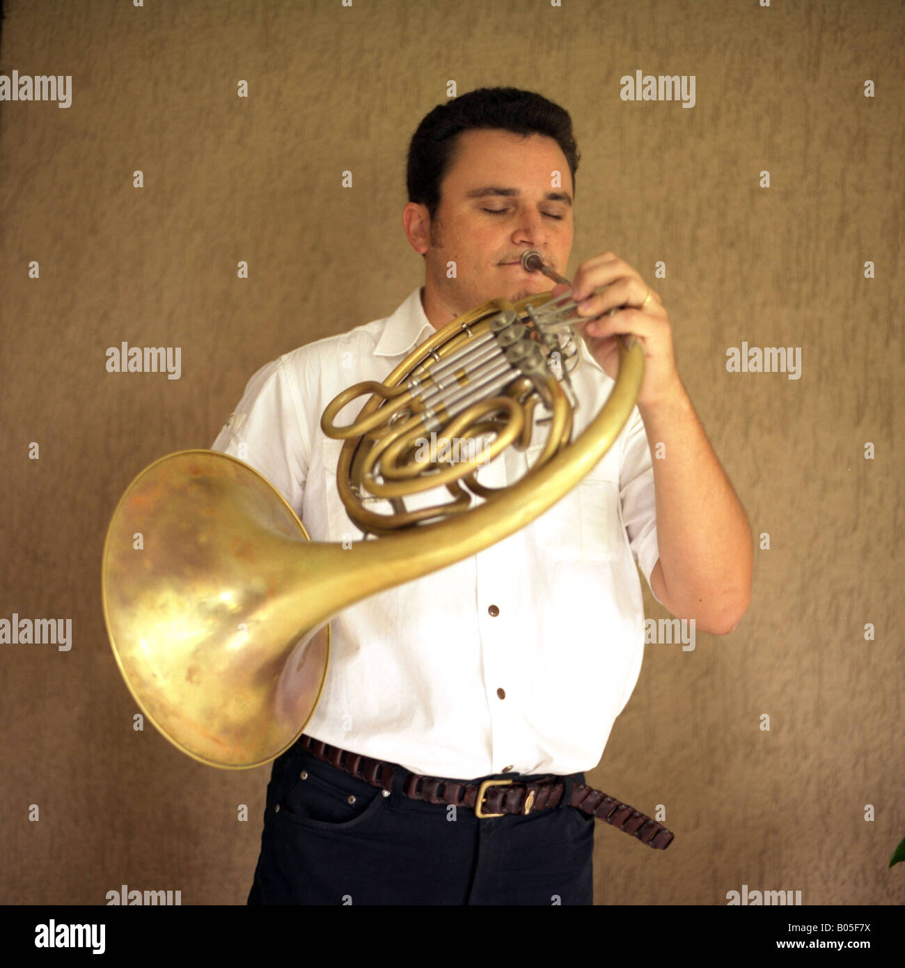 musician with horn Stock Photo - Alamy