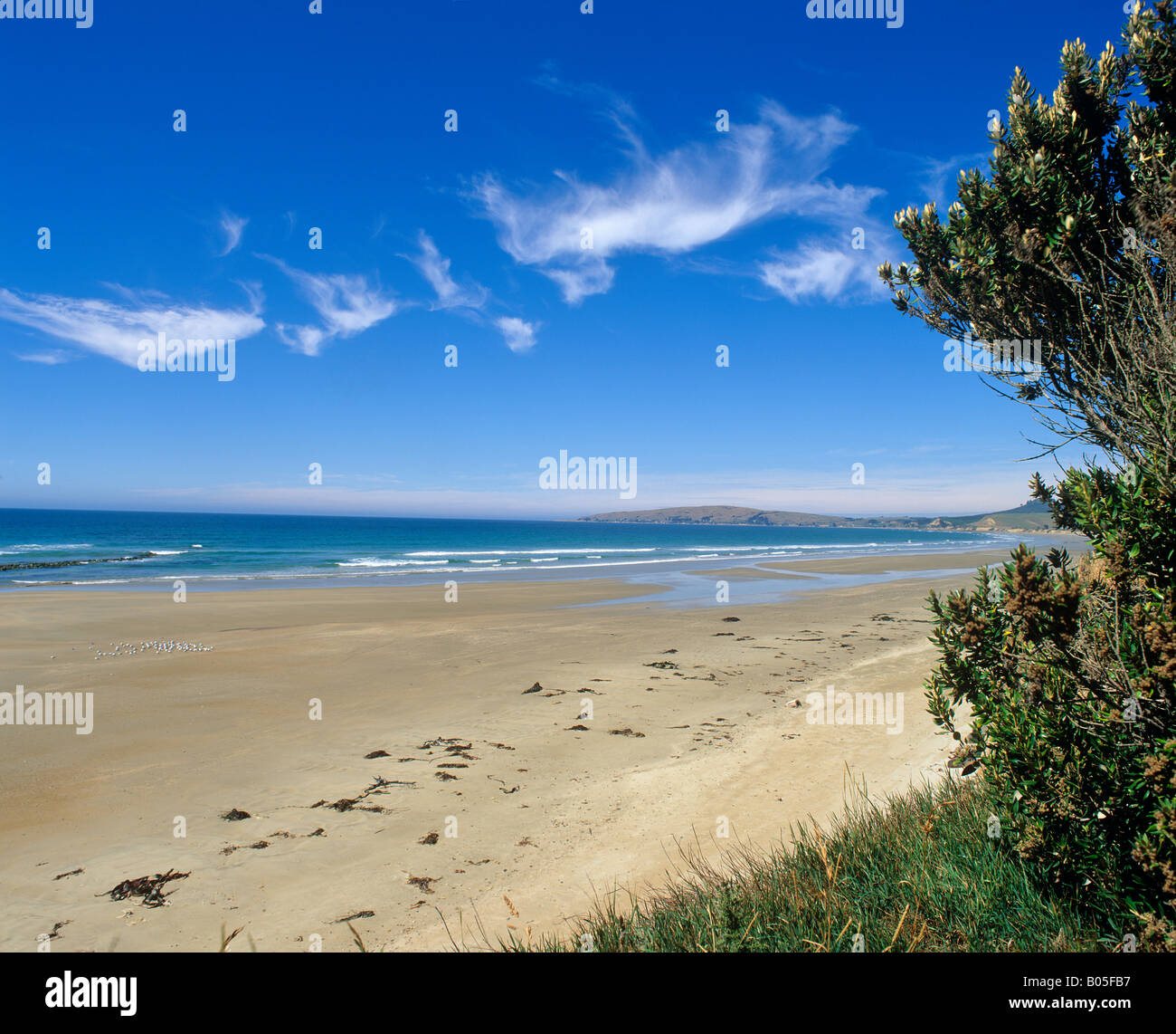 Shag Point, Otago, New Zealand Stock Photo - Alamy