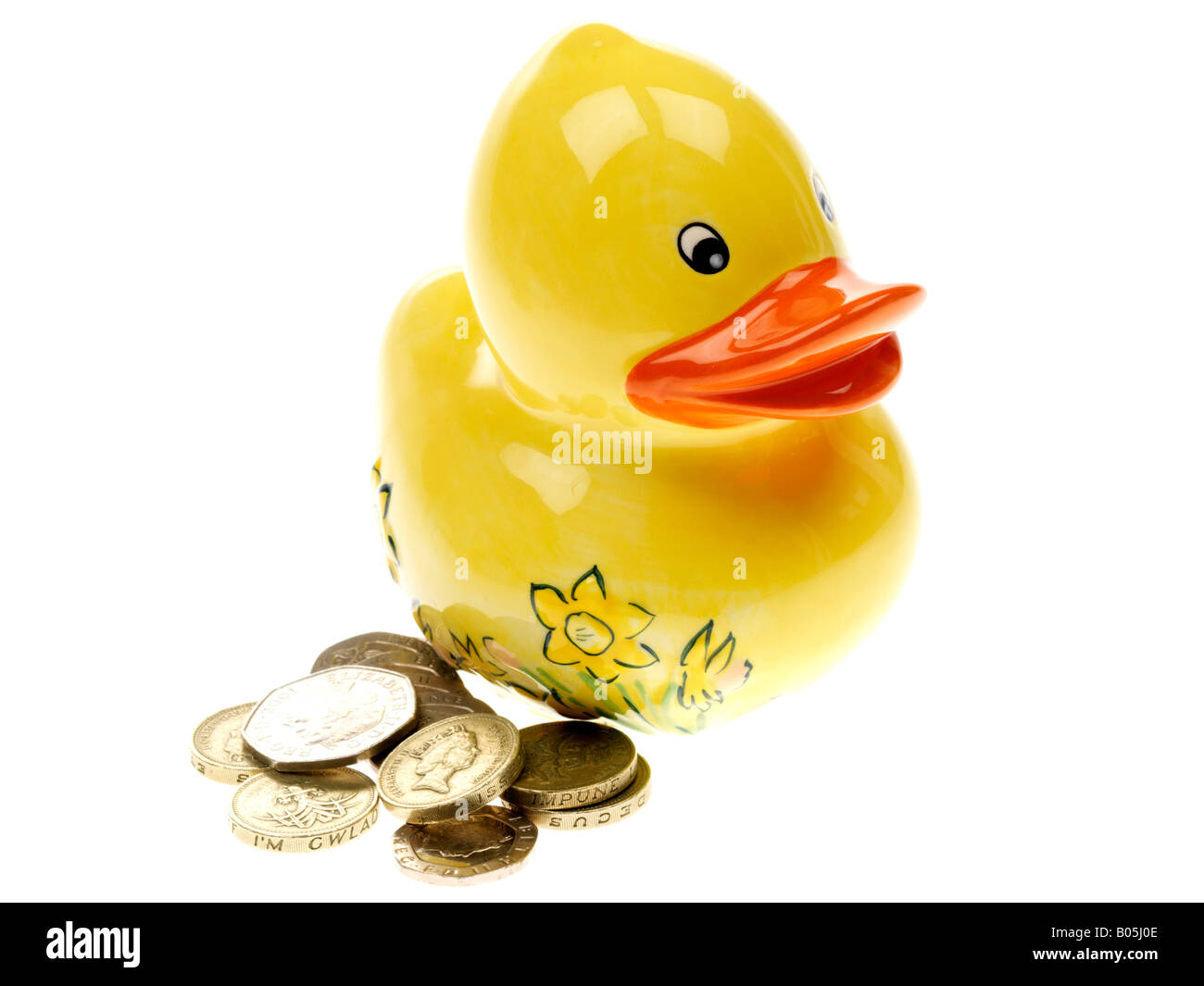 Duck money box hi-res stock photography and images - Alamy