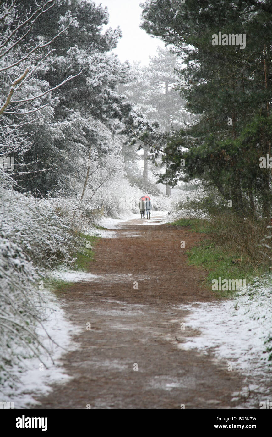 Woodland walk snow hi-res stock photography and images - Alamy