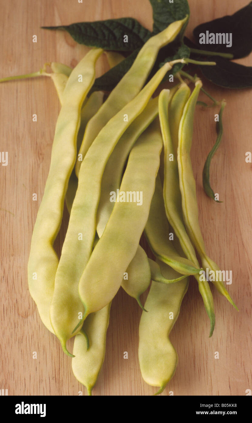 Climbing bean goldfield hi-res stock photography and images - Alamy