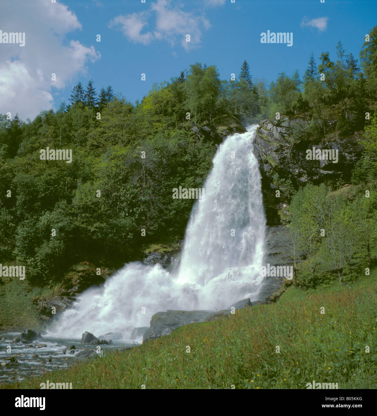Beautiful Norwegian waterfall; Steindalsfossen, near Norheimsund ...