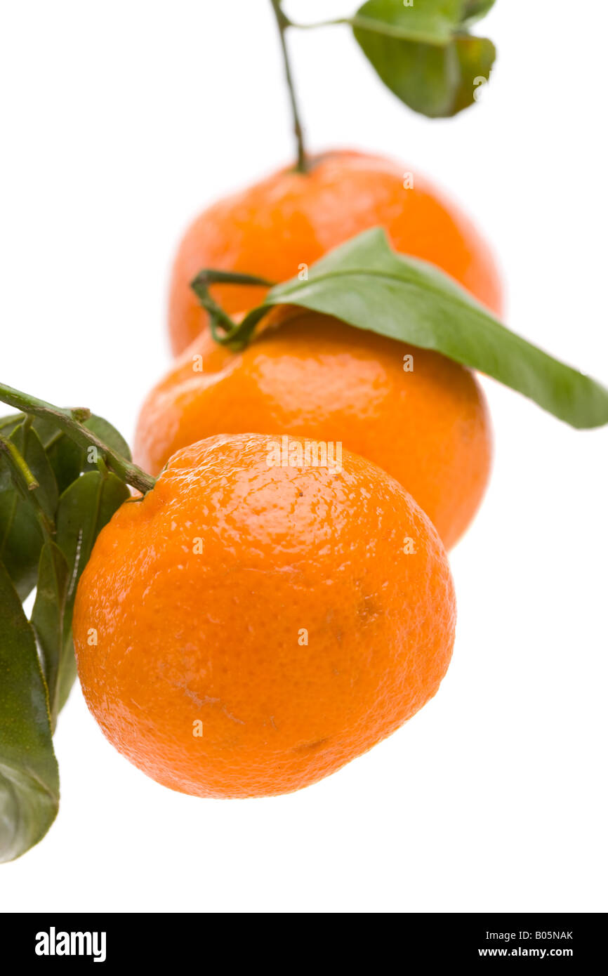 Three orange ripe mandarin Cut Out Stock Images & Pictures - Alamy