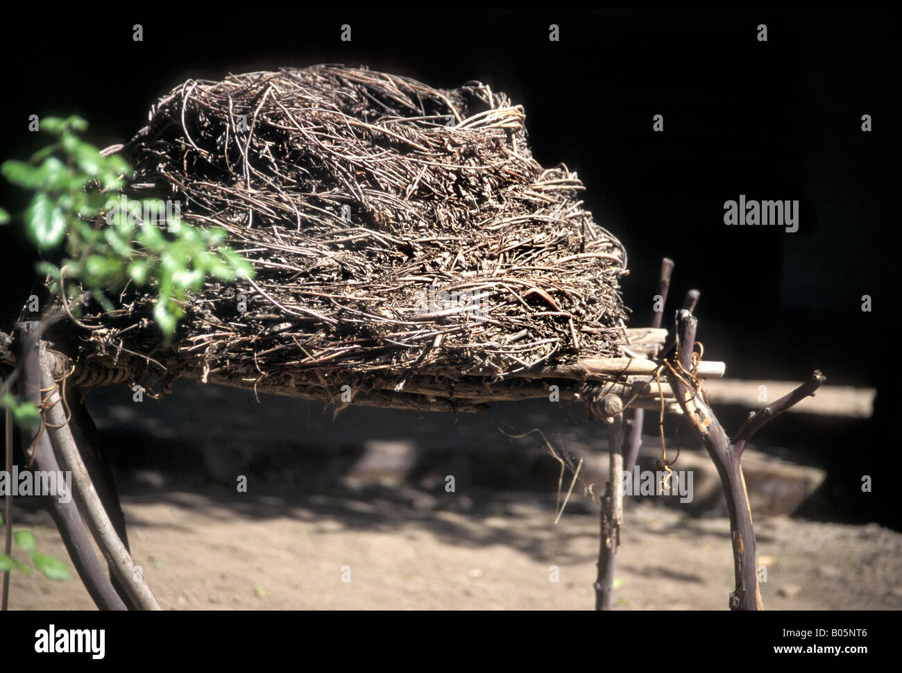 Replica Native American basket for storing the acorn harvest California ...