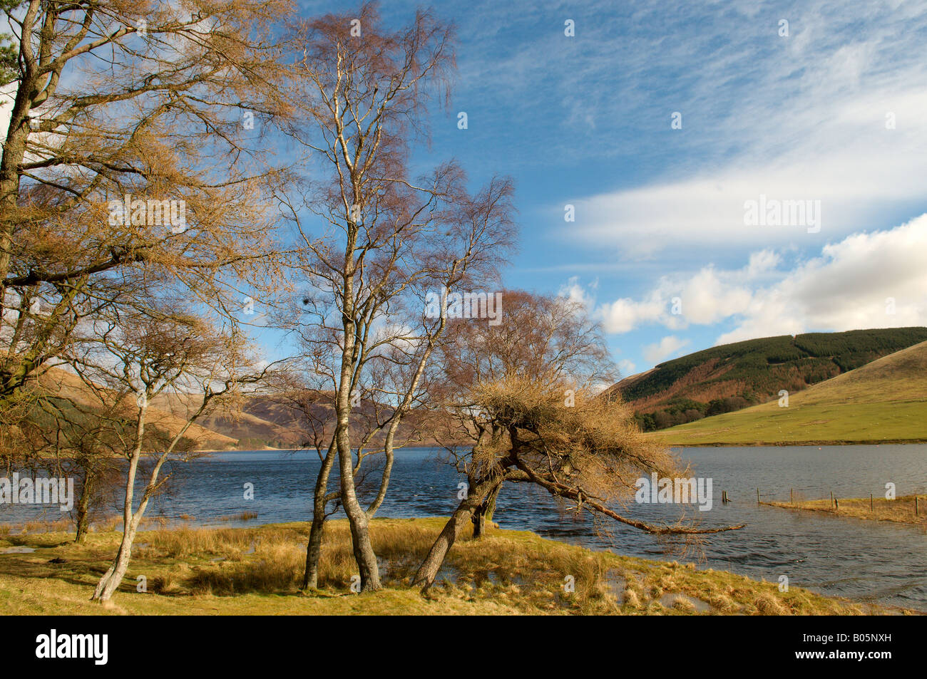 St marys loch scottish hi-res stock photography and images - Alamy
