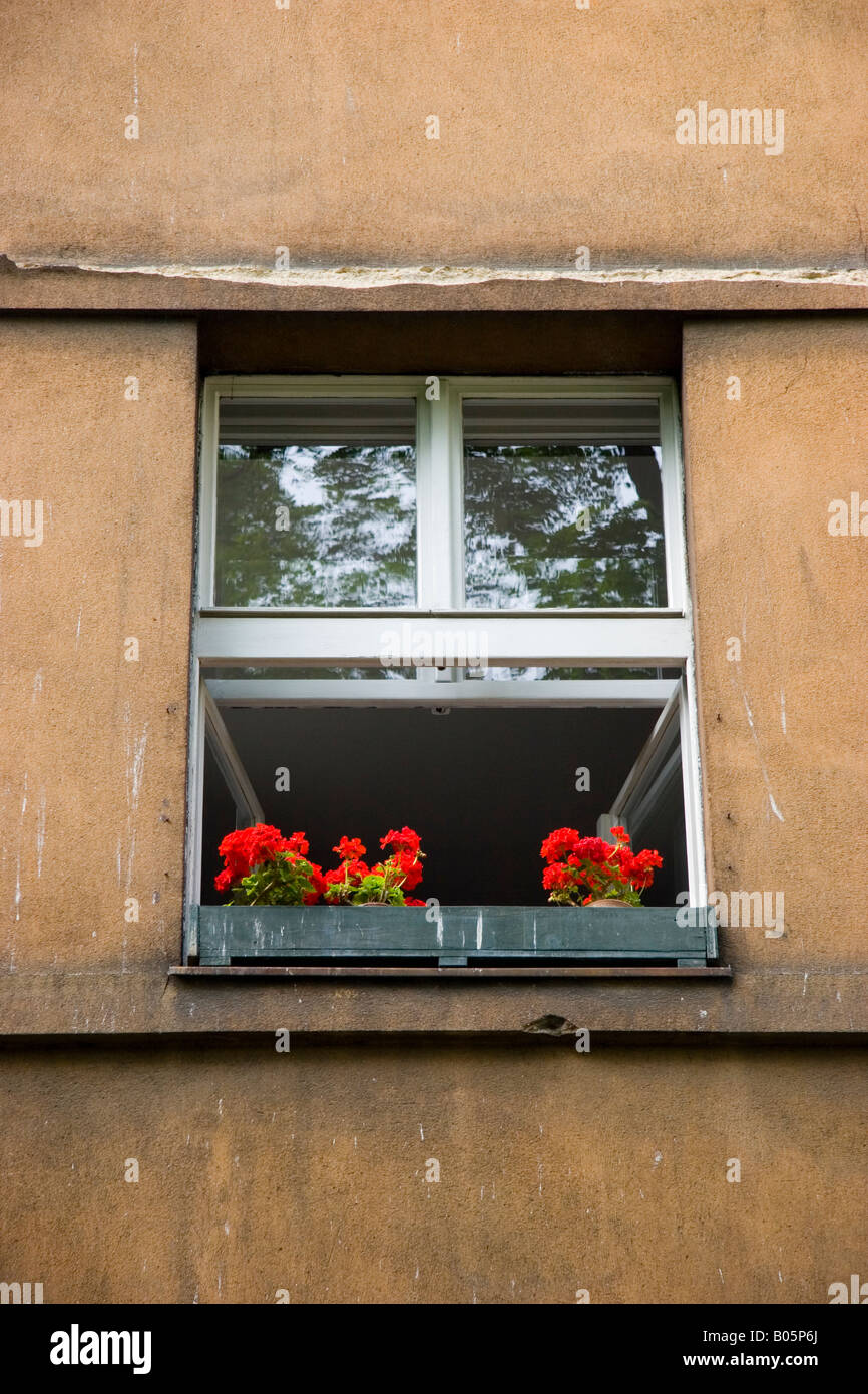 Window exterior Prague Czech Republic Stock Photo - Alamy