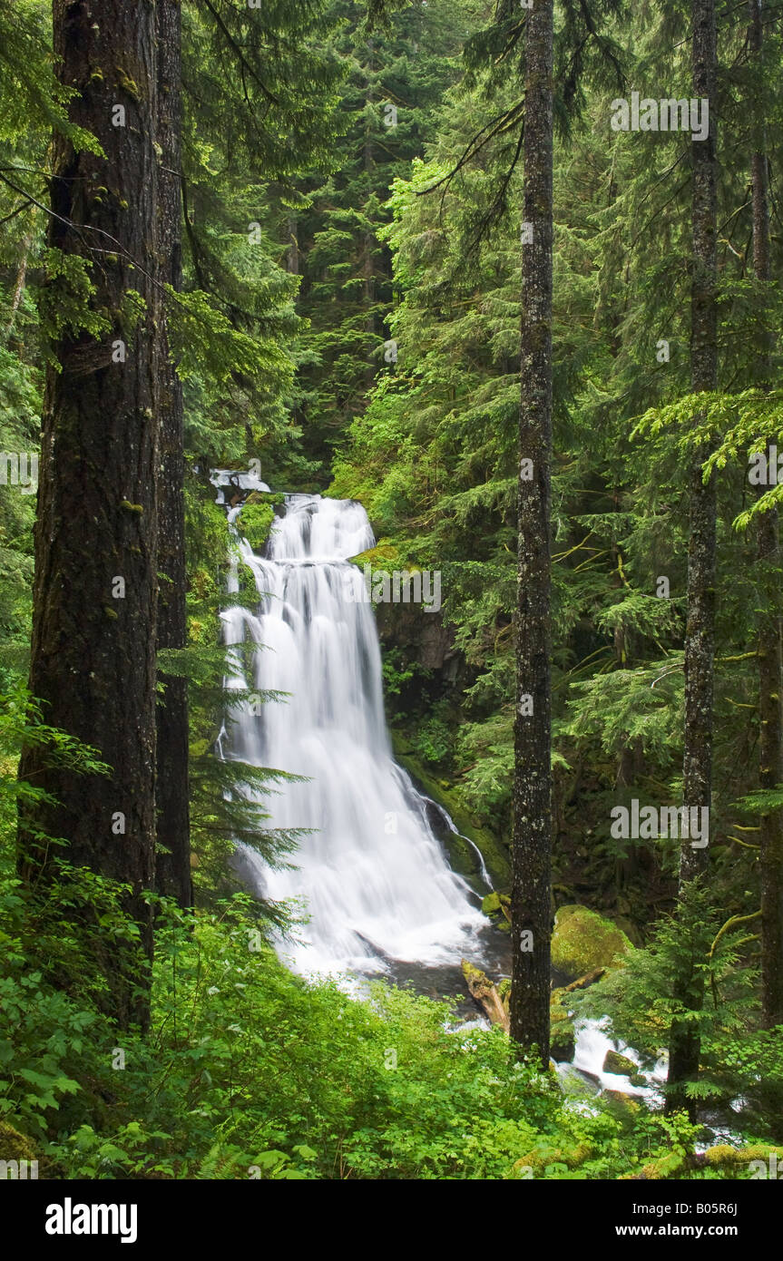 Upper Kentucky Falls Siuslaw National Forest Coast Range mountains ...