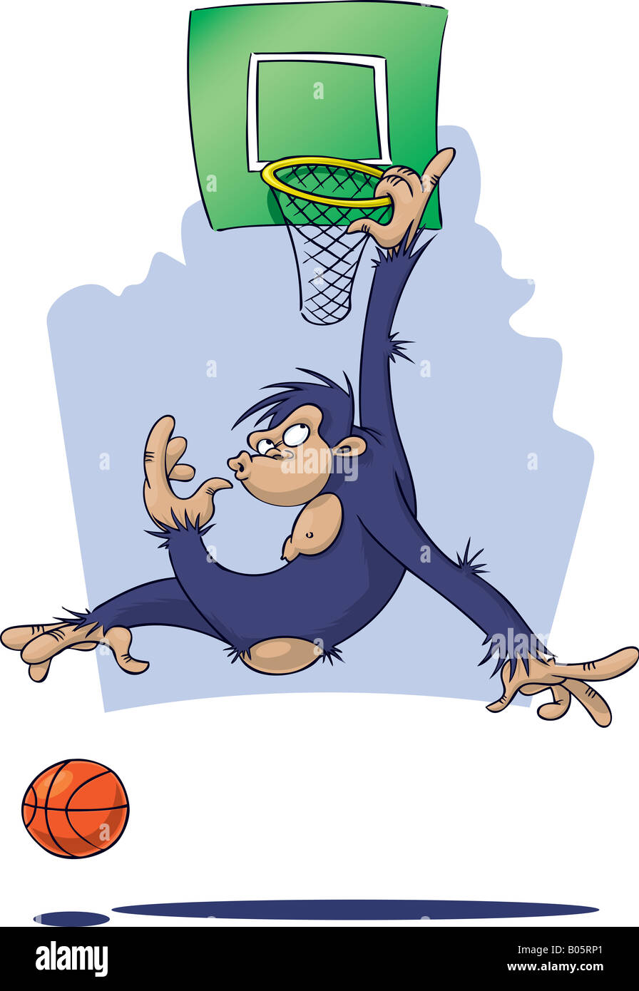 Monkey playing ball hi-res stock photography and images - Alamy