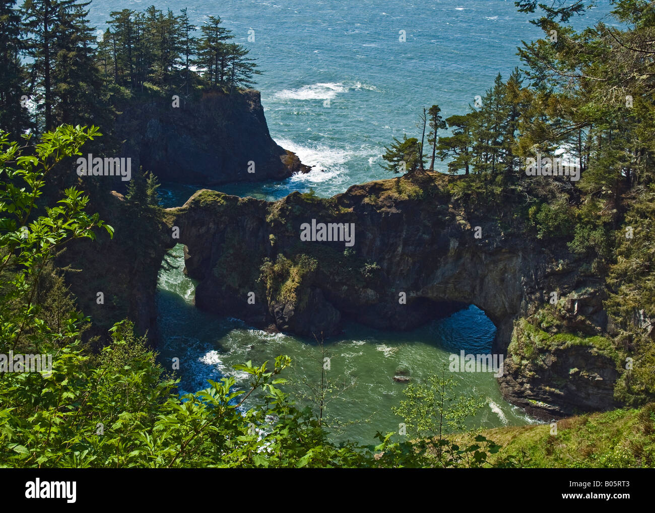 Natural Bridges Viewpoint Samuel H Boardman State Scenic Corridor ...
