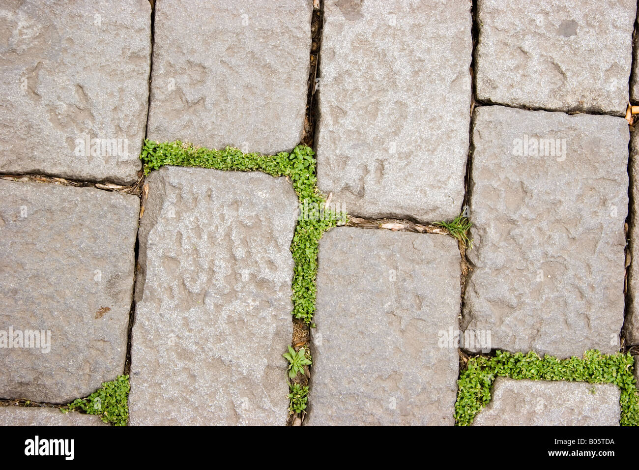 Paving_stones hi-res stock photography and images - Alamy