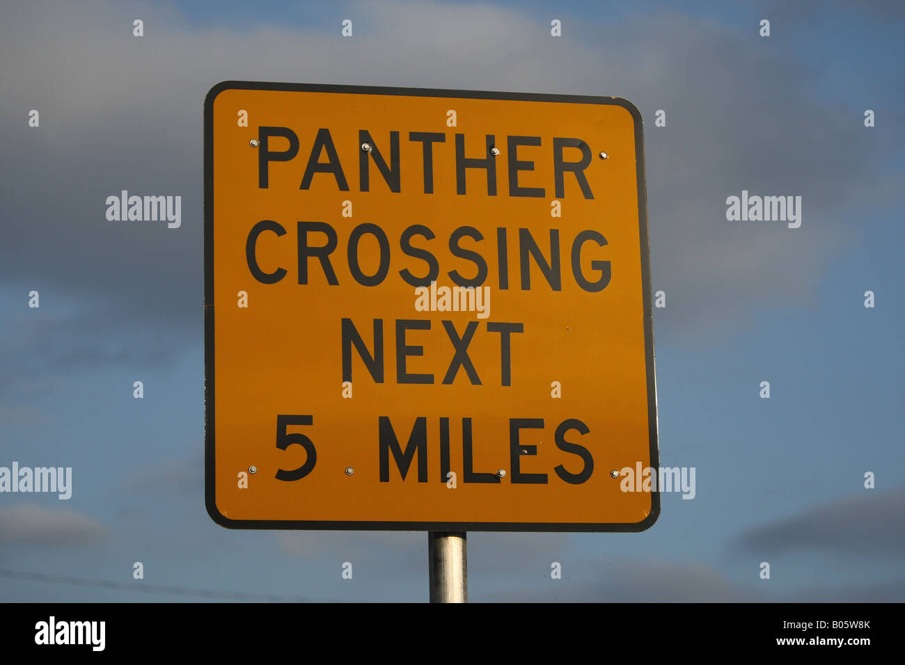 yellow panther crossing sign, next 5 miles Stock Photo - Alamy