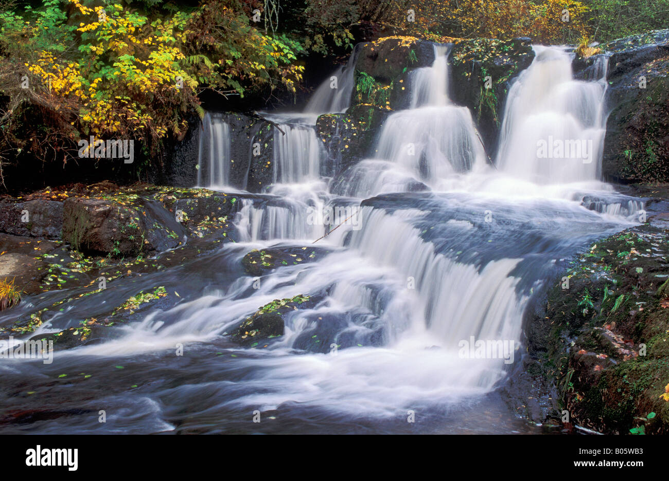 Alsea Falls Coast Range Mountains Oregon Stock Photo - Alamy