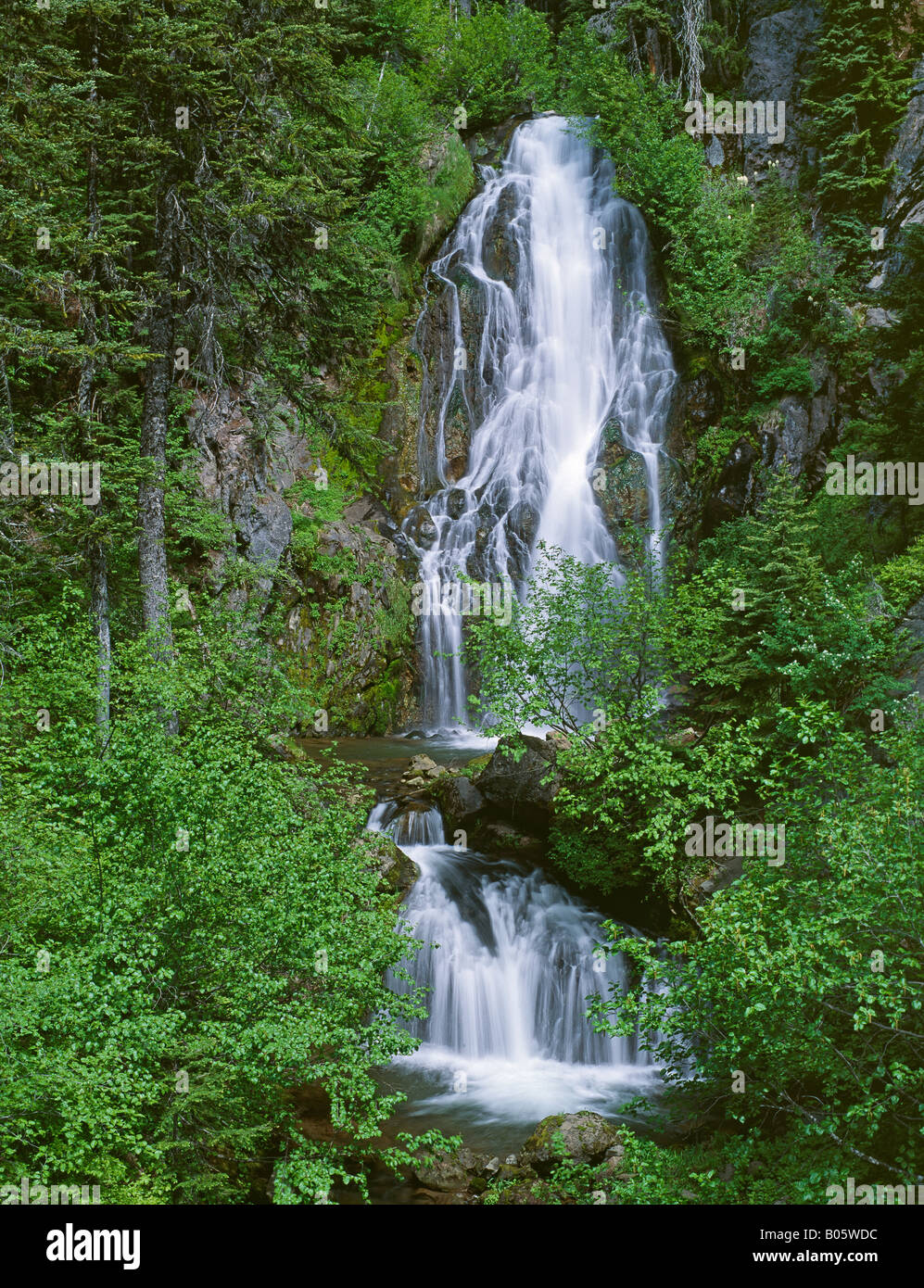 Sahale Falls Mount Hood National Forest Cascade Mountains Oregon Stock ...