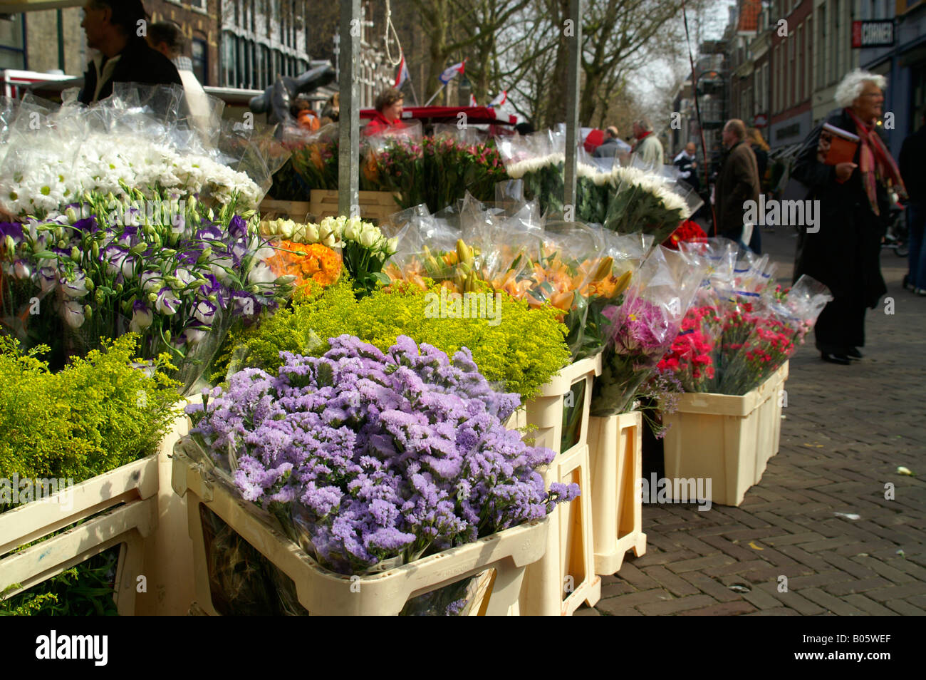 Flower market on street of Delft town, Netherlands Stock Photo - Alamy
