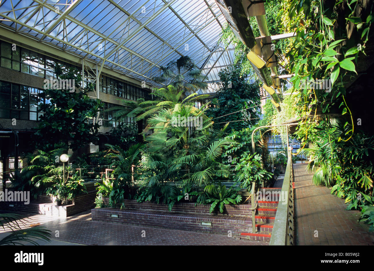 Barbican Conservatory, Barbican Estate, City of London, London, England ...