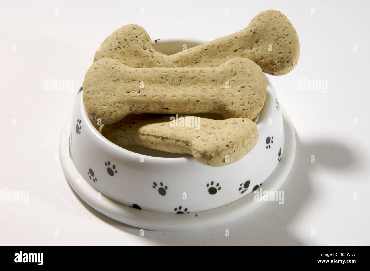 dog biscuit in a bowl Stock Photo - Alamy
