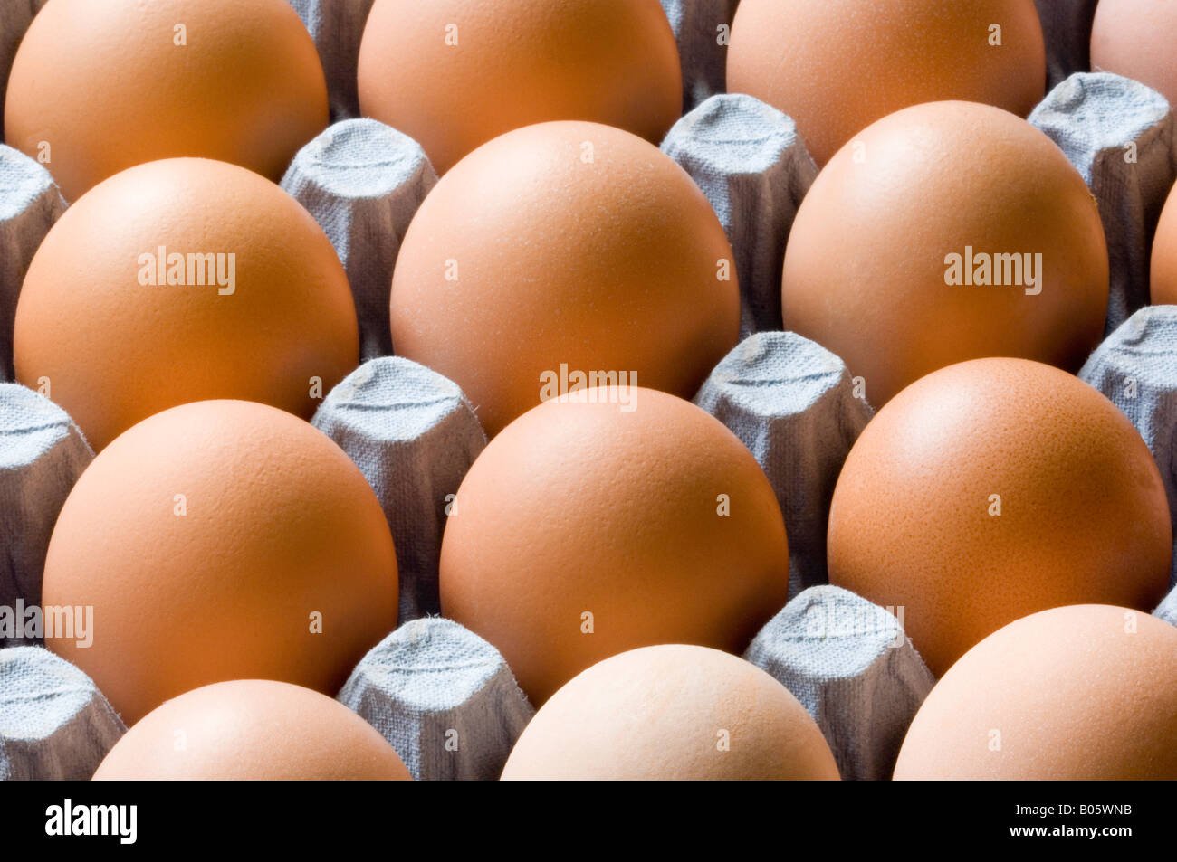Tray Of Eggs Stock Photo - Alamy