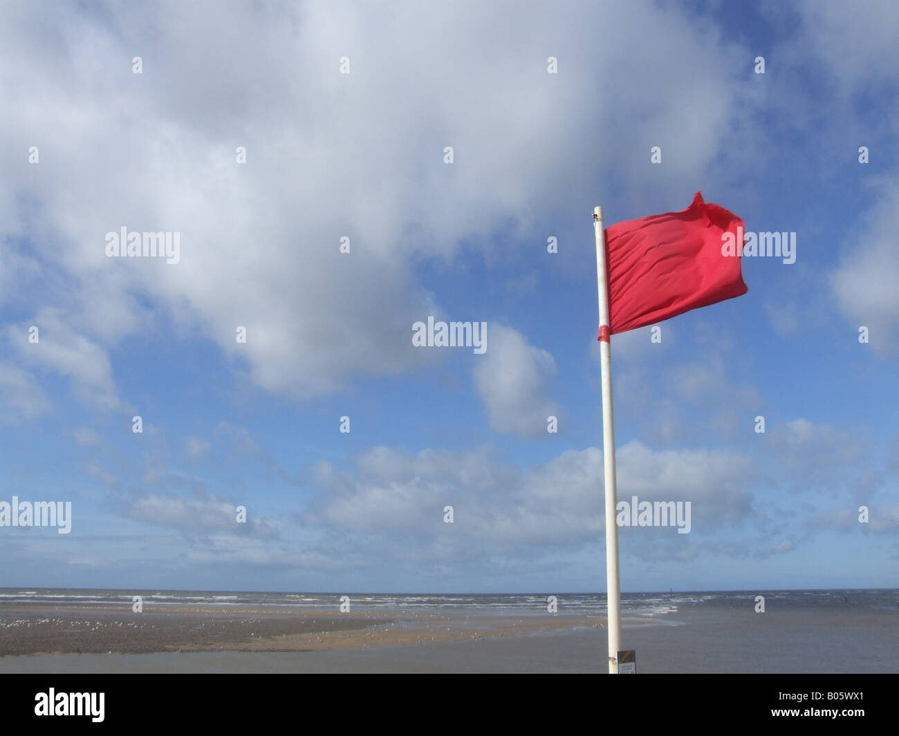 red warning flag in wind by beach Stock Photo - Alamy