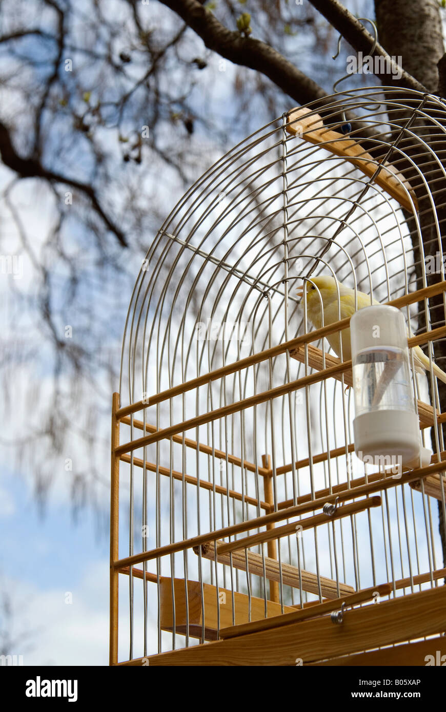 French island ile de re birds hi-res stock photography and images - Alamy