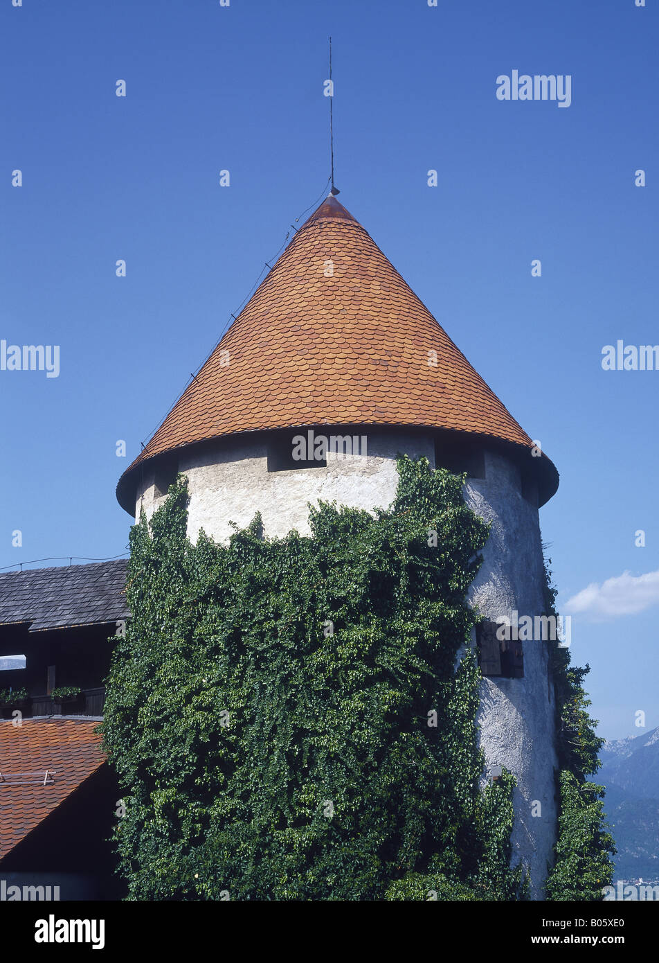 Castle tower. Round. Pointed red tiled roof. Ivy covered walls Stock ...