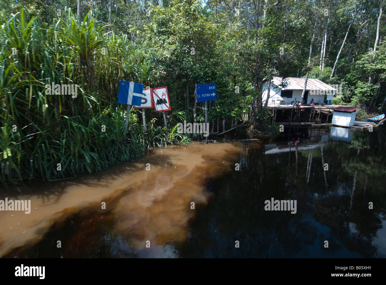 river in Tanjung Puting national park Borneo showing pollution due to ...