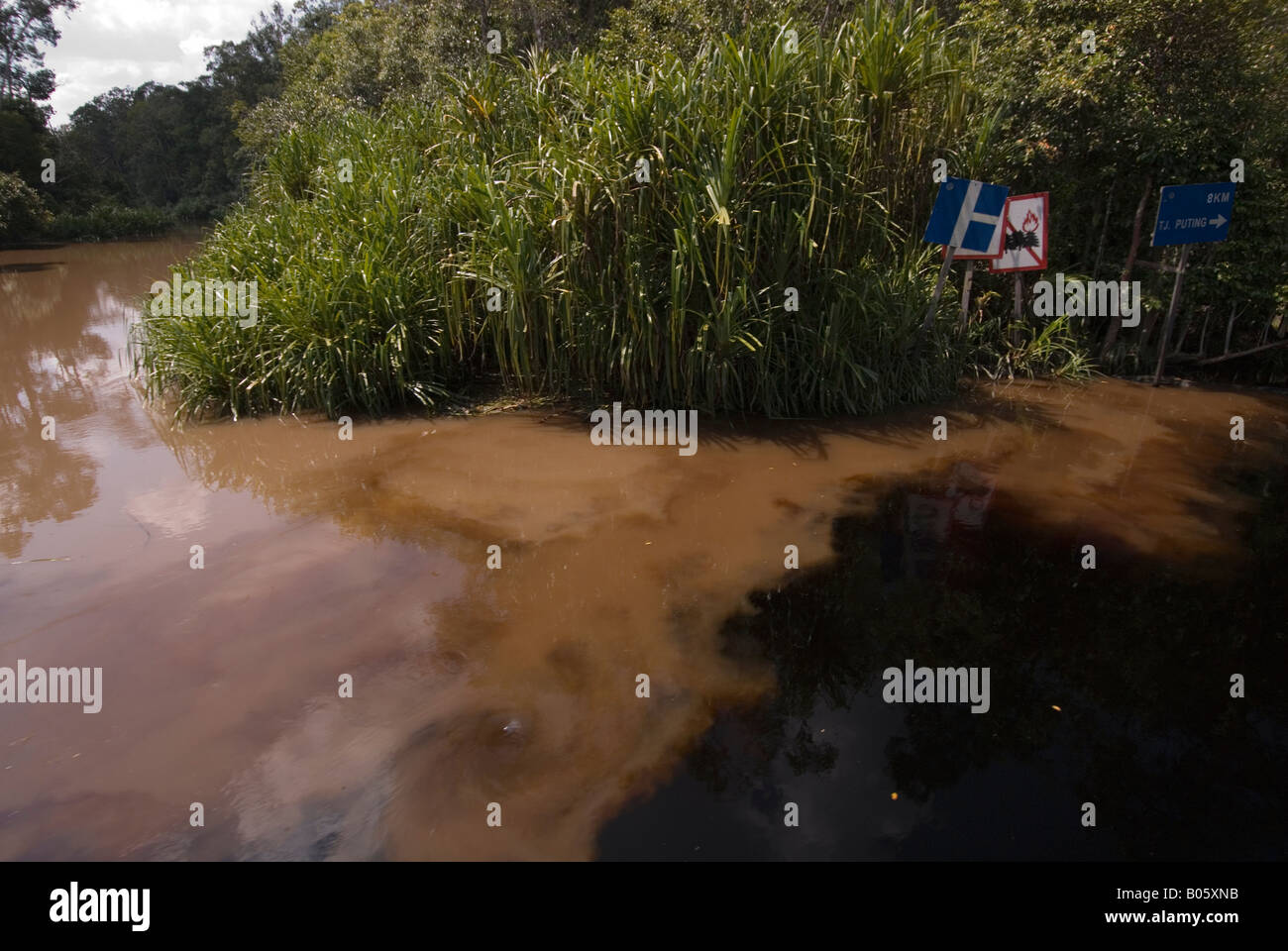 river in Tanjung Puting national park Borneo showing pollution due to ...