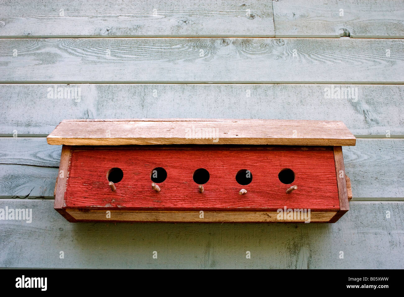 Bright red birdhouse on a blue wall Stock Photo - Alamy