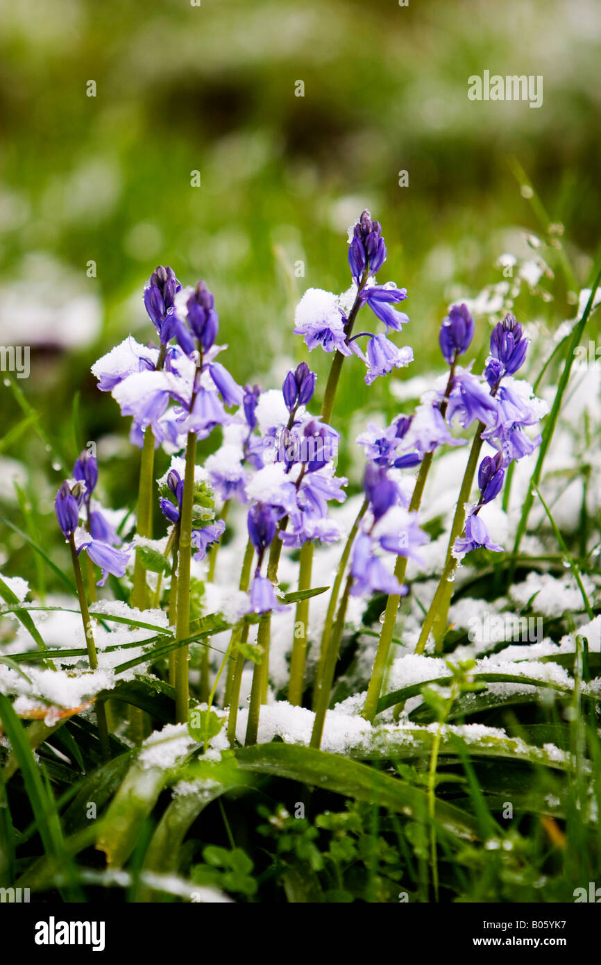 Sprinkling of snow hi-res stock photography and images - Alamy