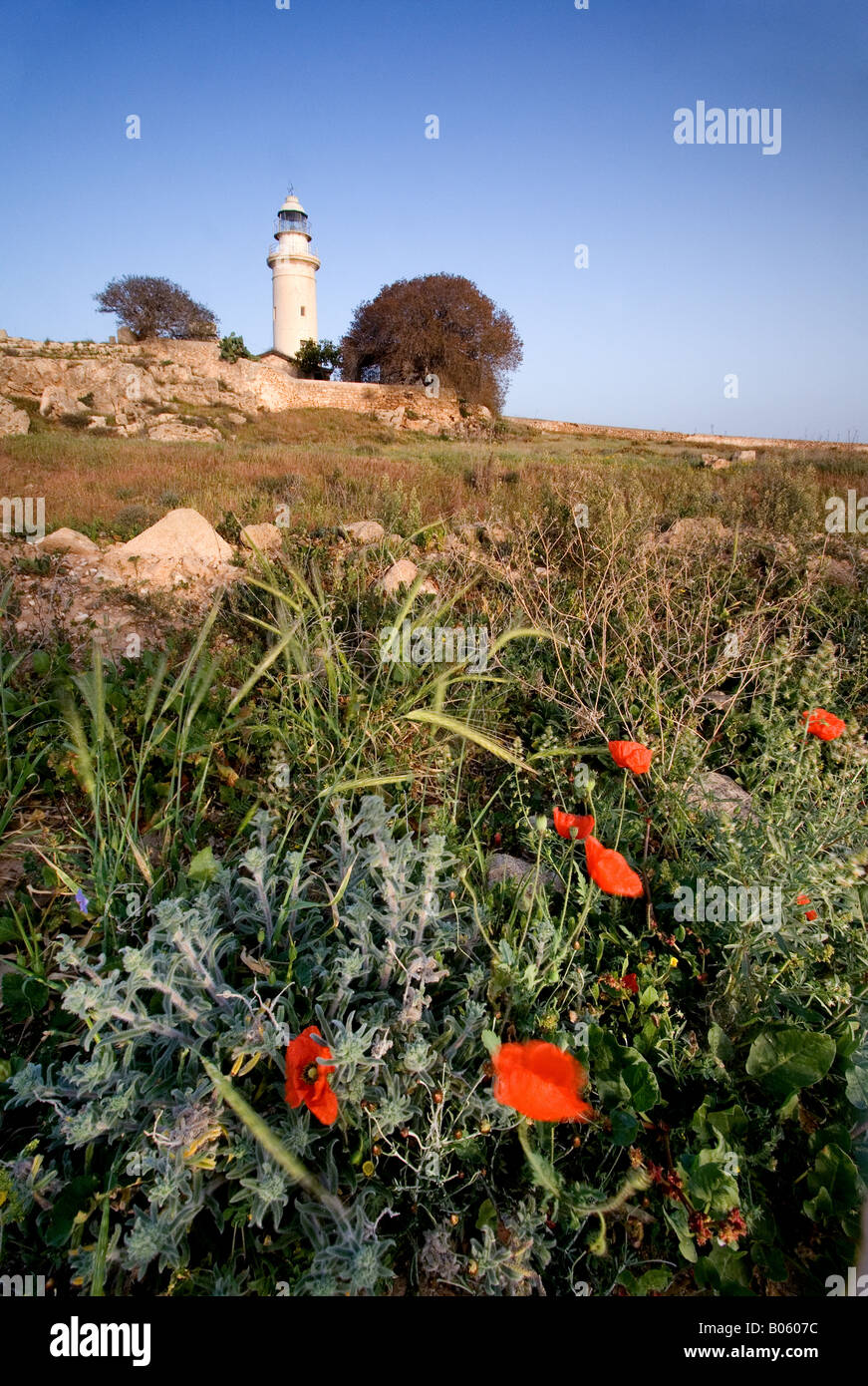 Paphos lighthouse & Amphitheatre, Cyprus Stock Photo - Alamy