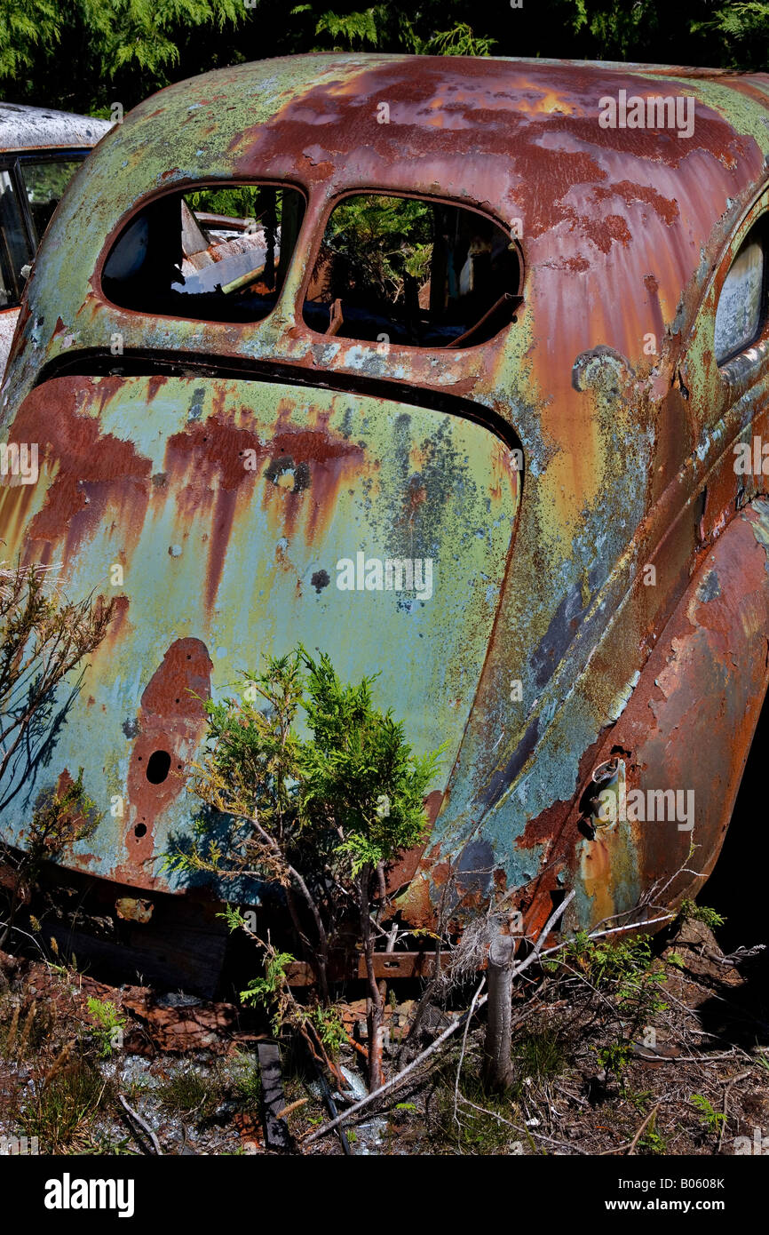 Rusty Vw Beetle