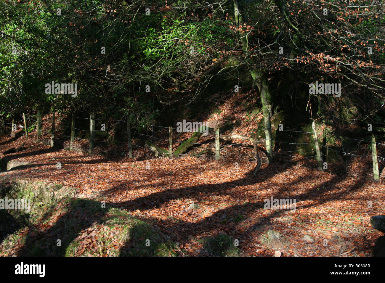 Burrator Reservoir, Devon Stock Photo - Alamy