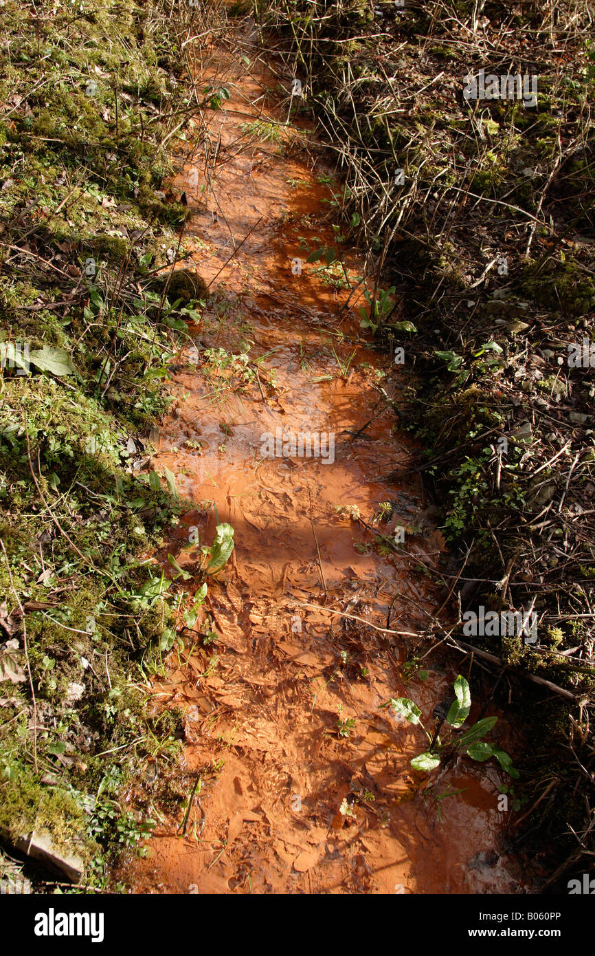 Cabilla cornwall hi-res stock photography and images - Alamy