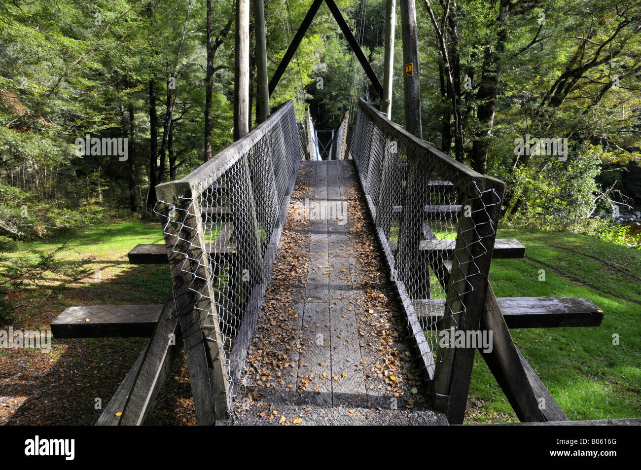 Susepnsion bridge over the Buller River, South Island, New Zealand ...