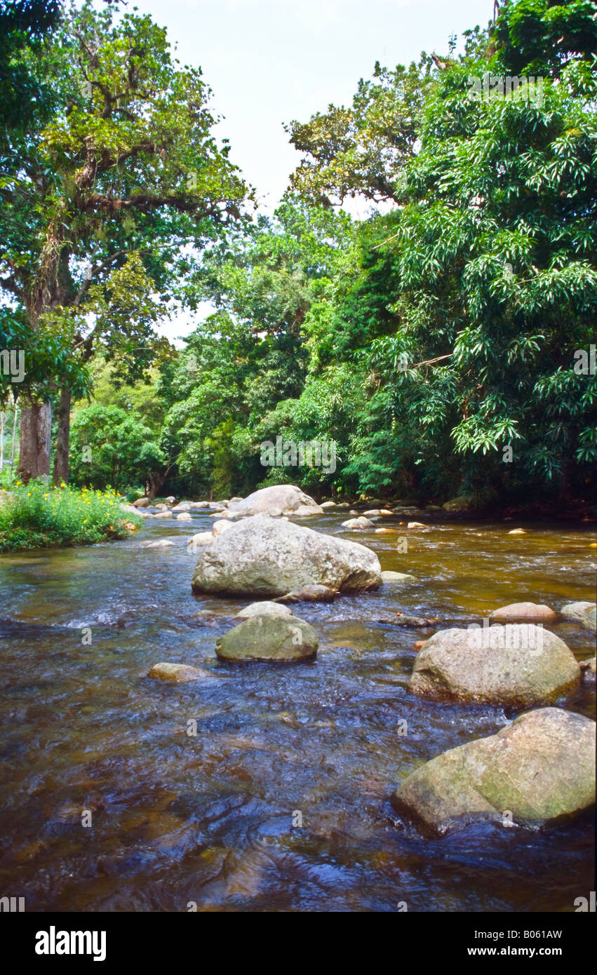 Choroni hi-res stock photography and images - Alamy