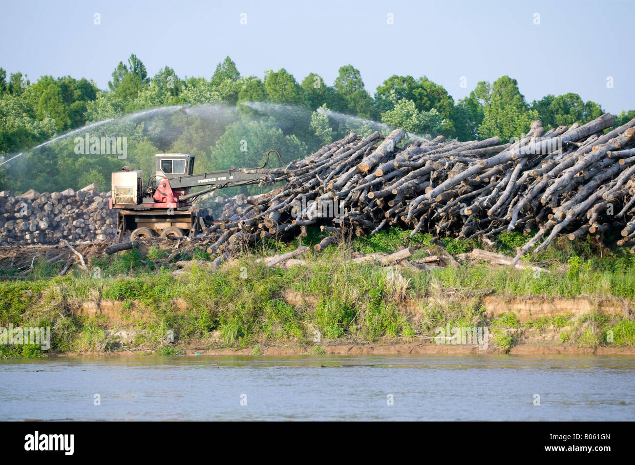 Wood pulp paper hi-res stock photography and images - Alamy