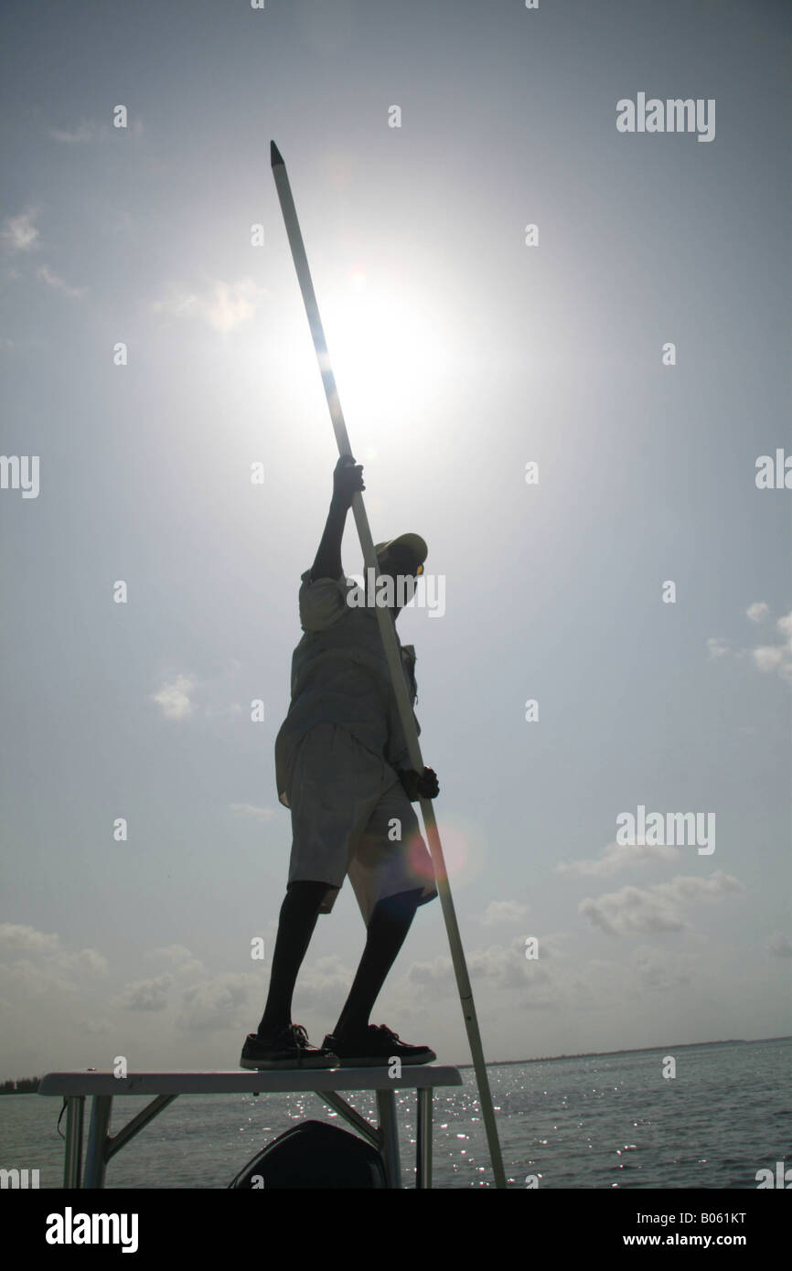 Poling platform hi-res stock photography and images - Alamy