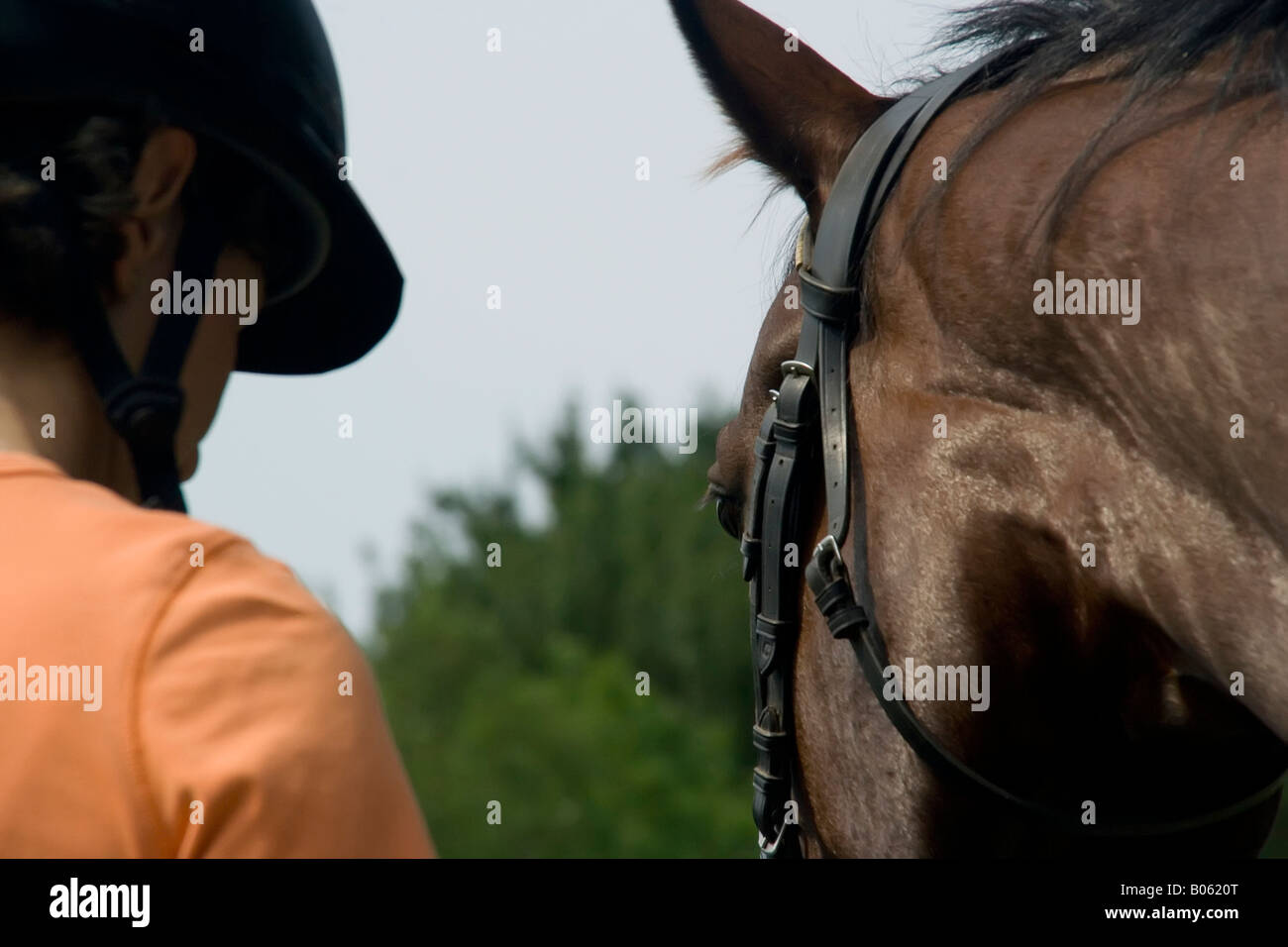 Horse and rider preparation hi-res stock photography and images - Alamy