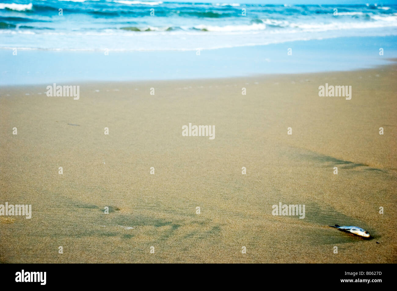 Death on the beach Stock Photo - Alamy